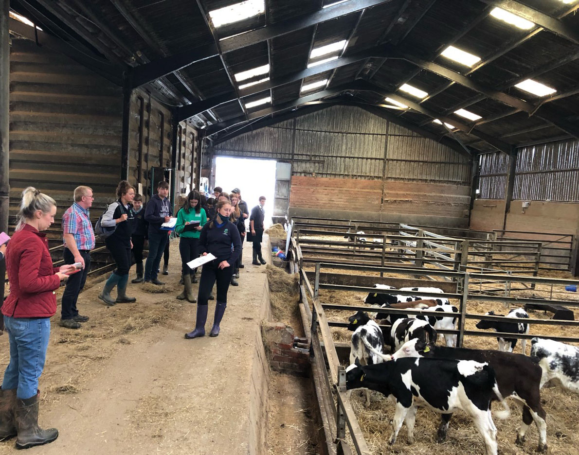 Ymweliad Upper Hall farm / Upper Hall Farm Visit - Ysgol Llanfyllin, Powys